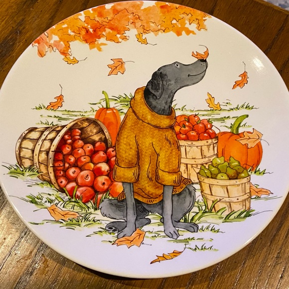 Hobby Lobby | Dining | Hobby Lobby Dog Plate | Poshmark